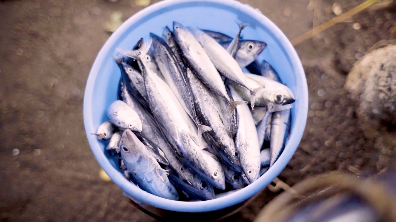 The decentralized real-time data network | Streamr